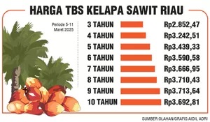 Harga Kelapa Sawit Mitra Plasma Periode 5–11 Maret 2025: Naik Lagi di Harga Rp3.713 per Kg